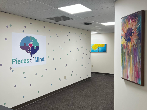 Pieces Of Mind, LLC - List of programs